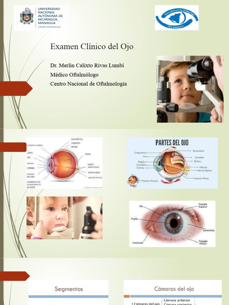 Examen Oftalmologico Virtual | PDF | Ojo humano | Ojo