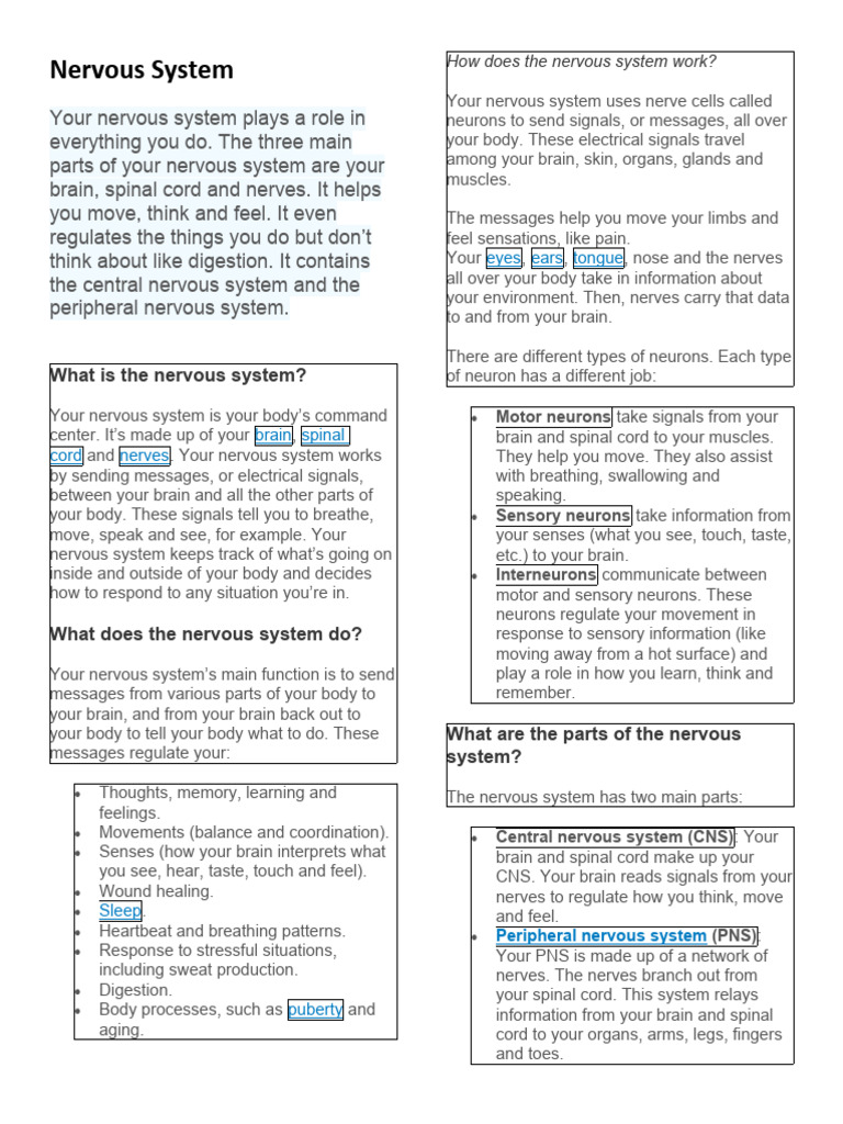 Nervous-System | PDF | Nervous System | Central Nervous System