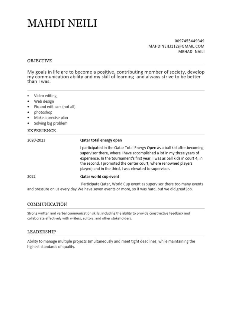 CV of Mahdi Naili | PDF | Career & Growth