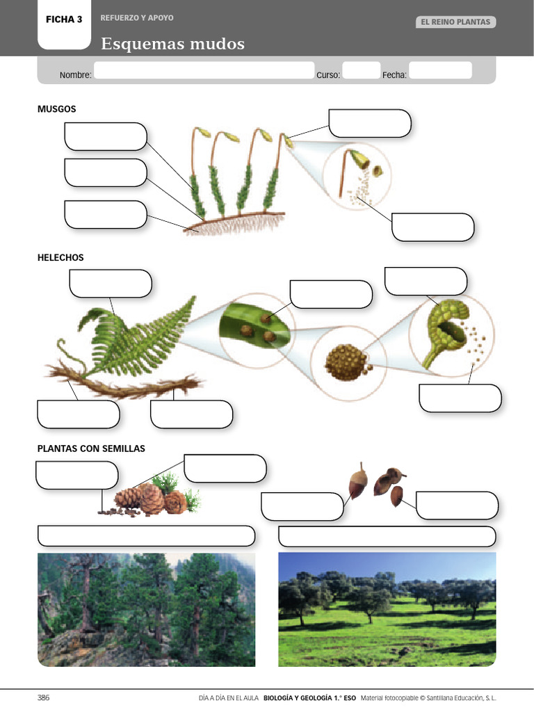 plantas_esquemas_mudos | PDF