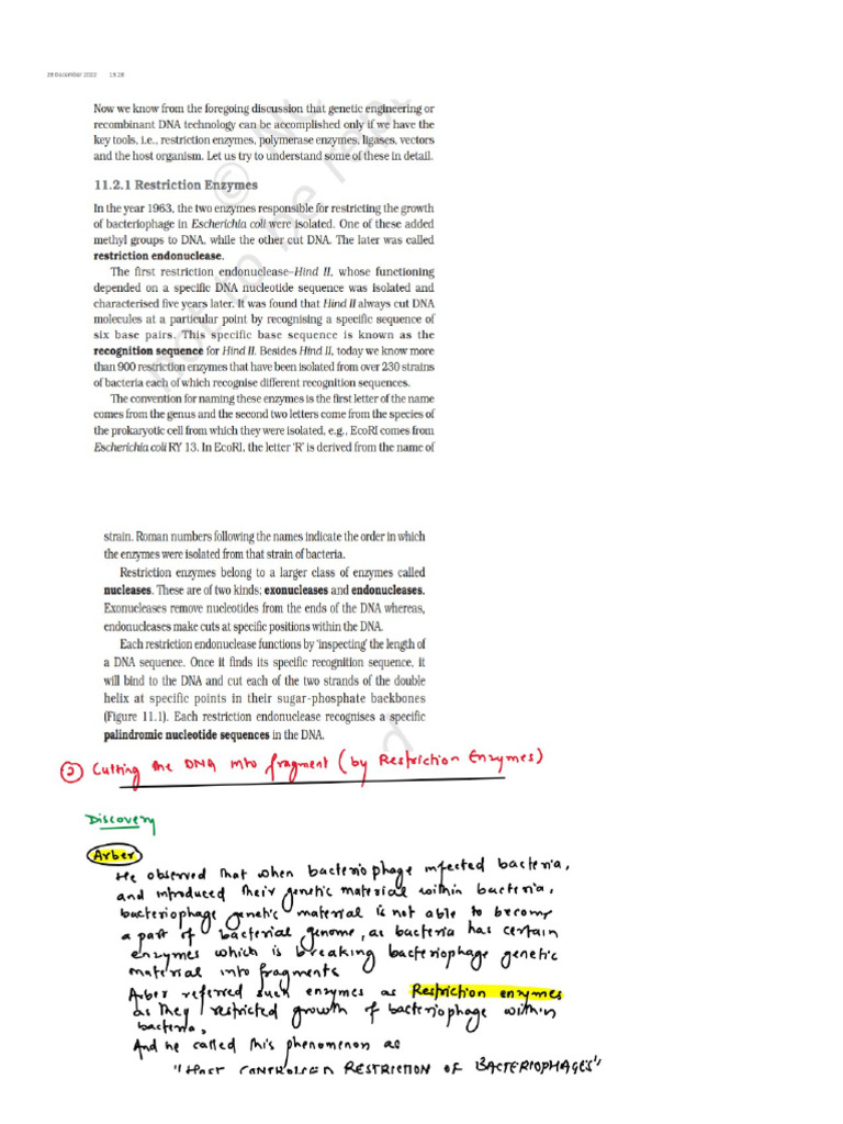 Restriction Enzyme-1 | PDF