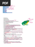 Reproductive System of Frog | PDF | Testicle | Sperm