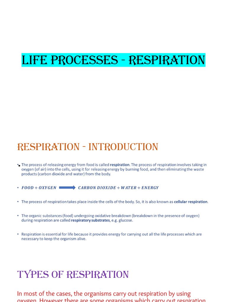 Life Processes - Respiration | PDF | Cellular Respiration | Fermentation