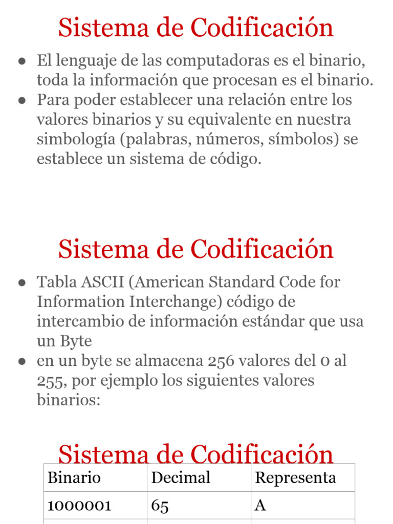 Sistema de Codificación | PDF