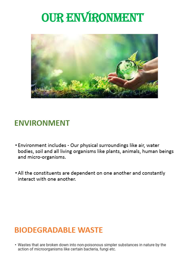 Our Environment | PDF | Biodegradation | Ecosystem