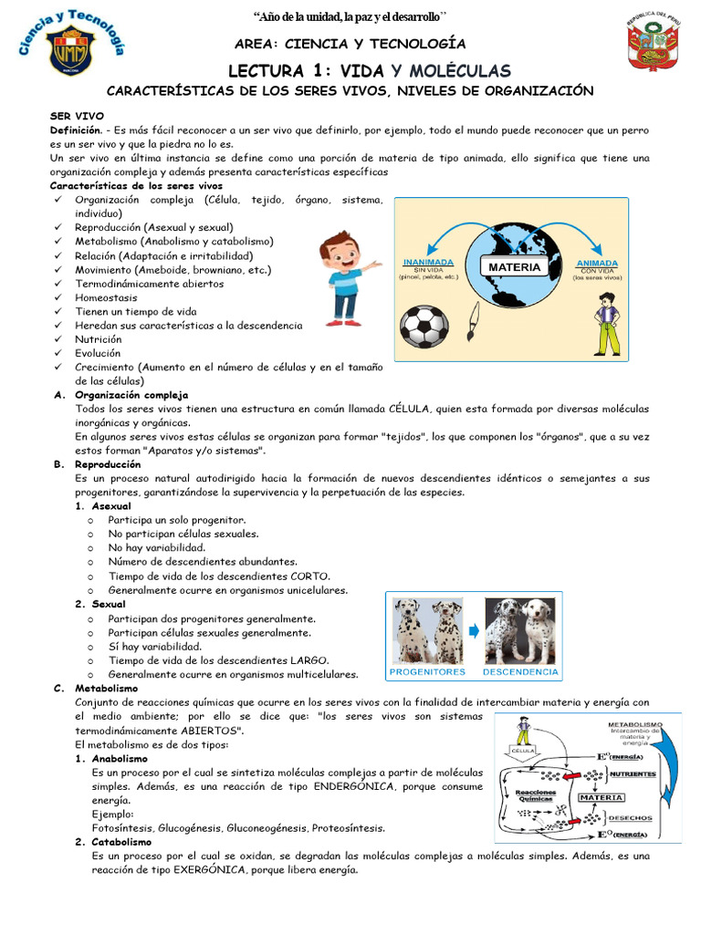 Lectura 1 Unidad 1 - 4º Grado Cyt | PDF | Metabolismo | Organismos