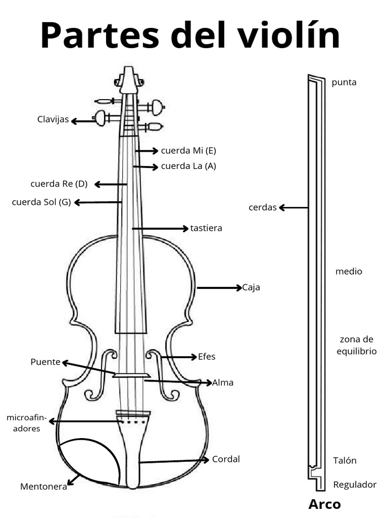 Partes Del Violín | PDF
