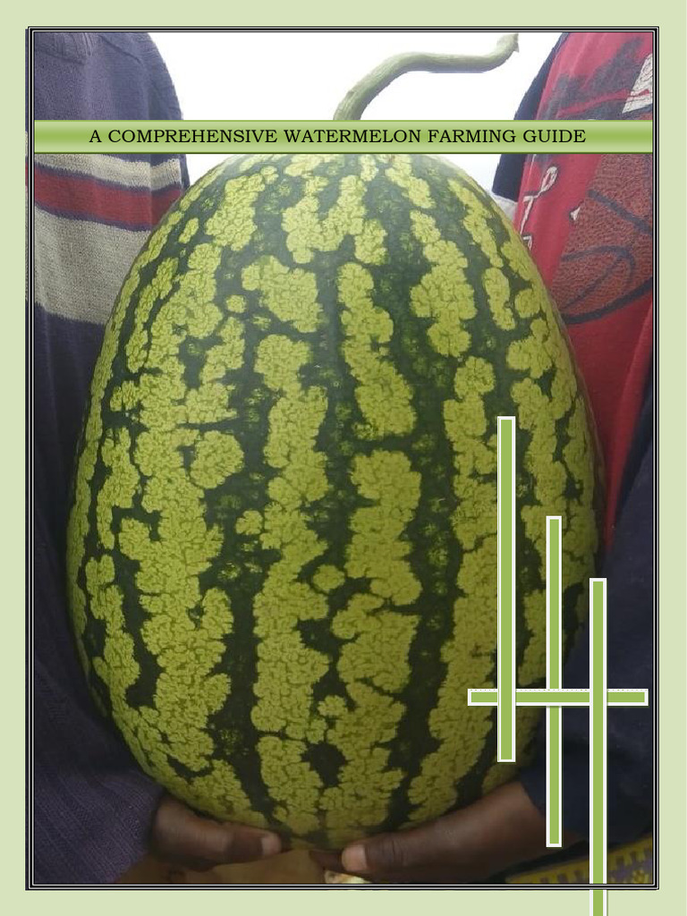 Comprehensive Watermelon Farming Guide | PDF | Soil | Weed
