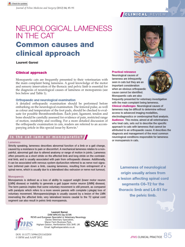 Garosi 2012 Neurological Lameness in The Cat Common Causes and Clinical ...