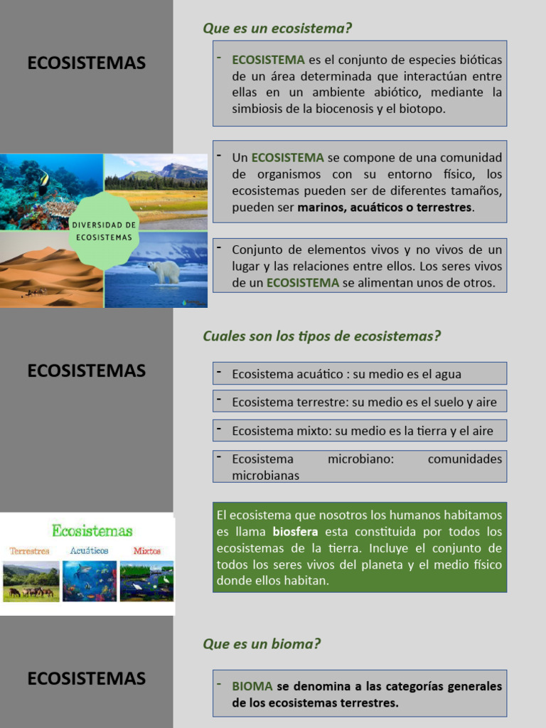 Presentacion 3 Ecosistemas | PDF | Ecosistema | Entorno natural