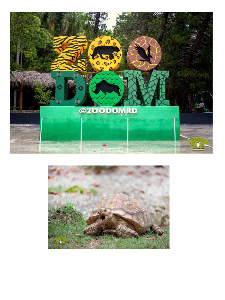 ZOODOM | PDF