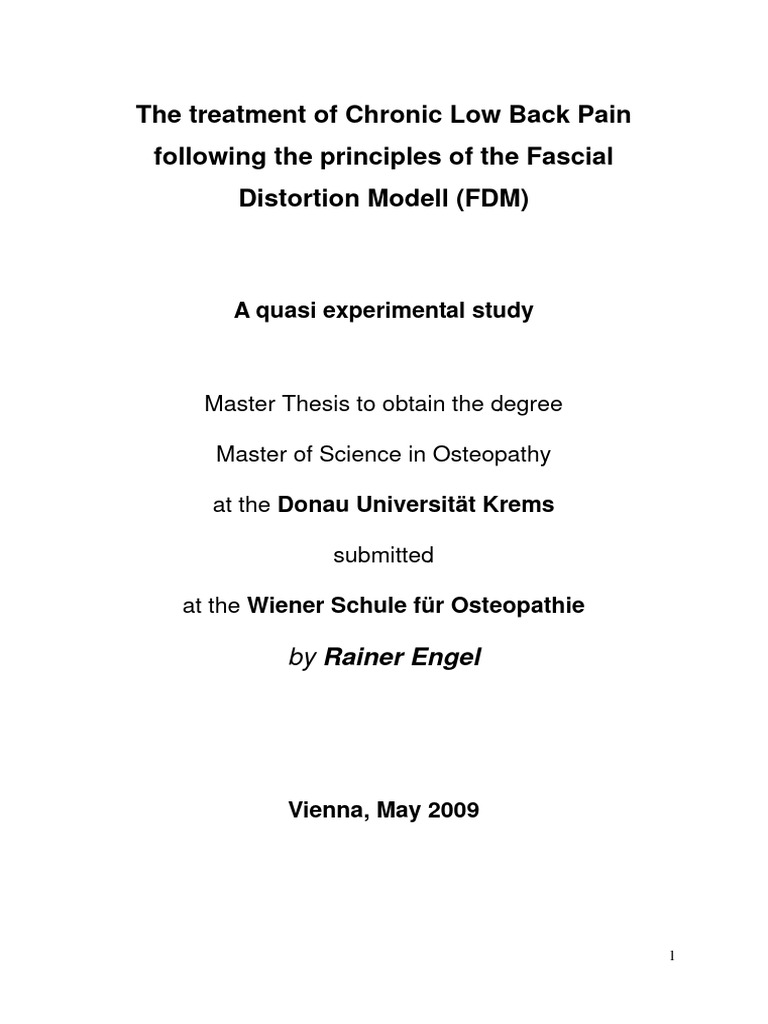 The Treatment of Chronic Low Back Pain Following The Principles of The ...