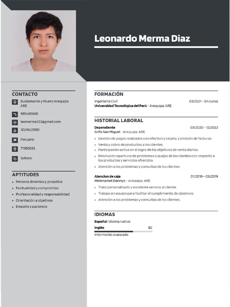 CV - Alejandro Jassiel Vega Zevallos | PDF