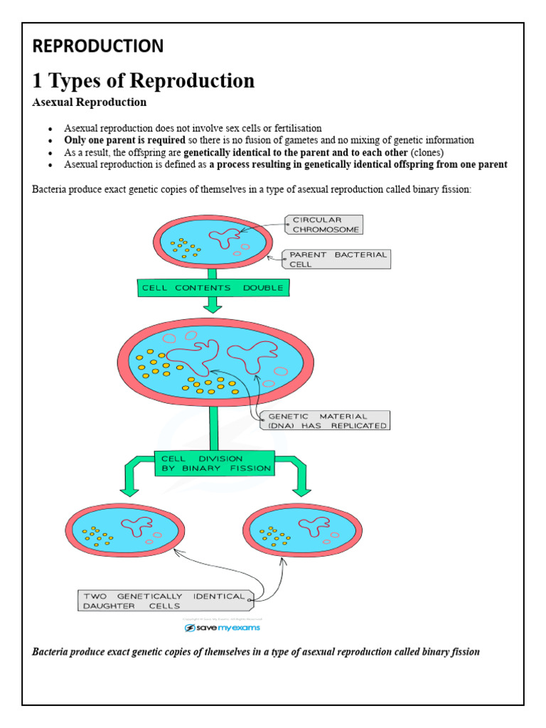 Reproduction | PDF | Menstrual Cycle | Reproduction