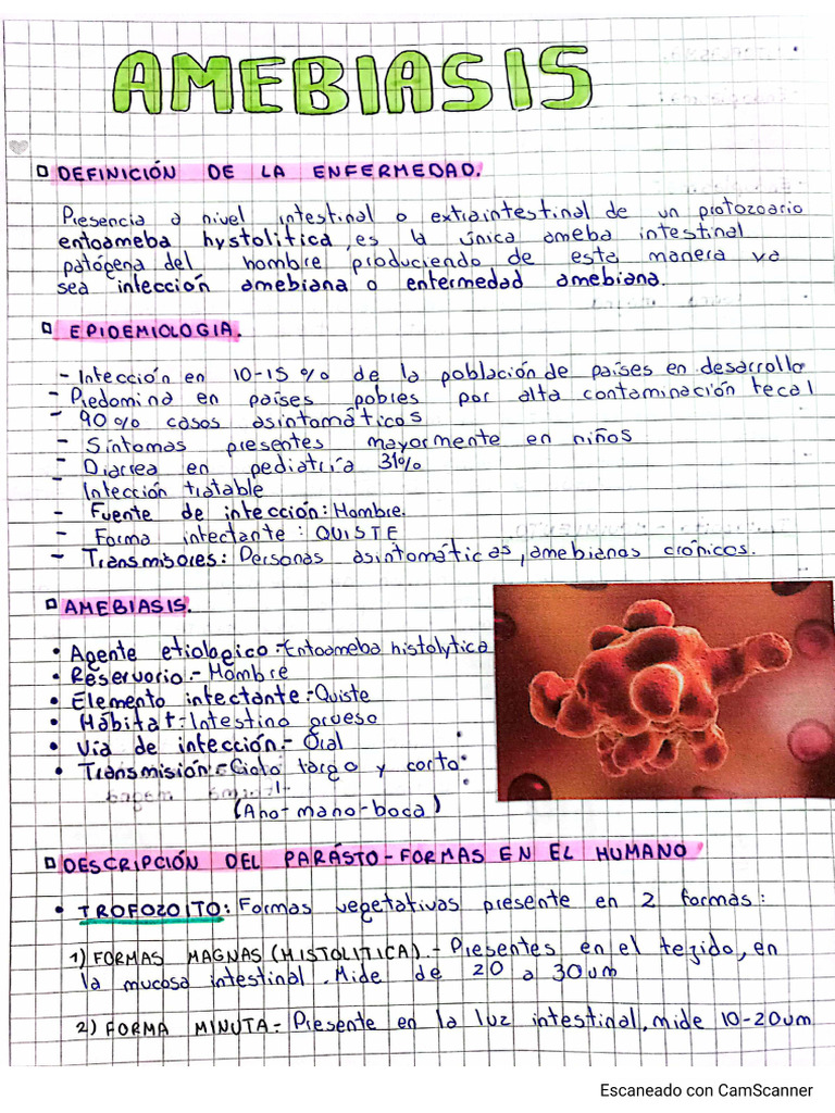 Practica 2 Amebiasis | PDF
