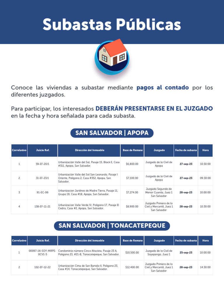 Subastas-Publicas 20092023 | PDF