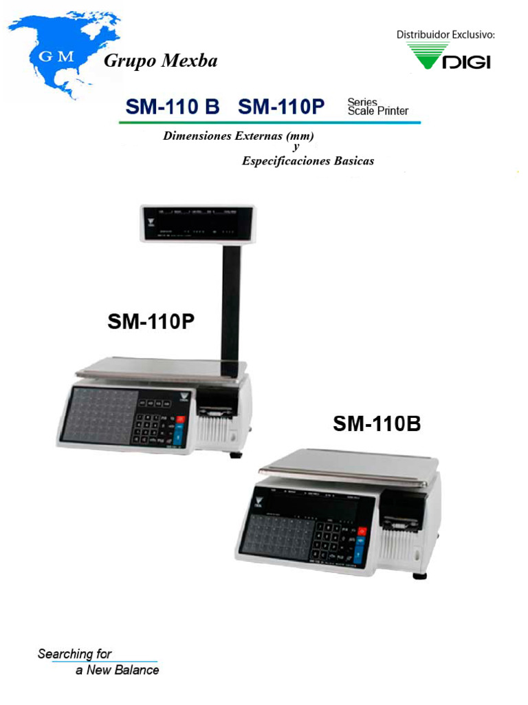 SM 110 | PDF | Tecnología de pantalla | Hardware de la computadora