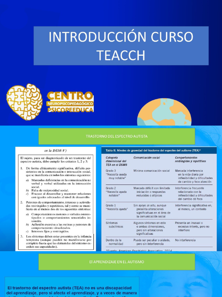 Curso TEACCH | PDF