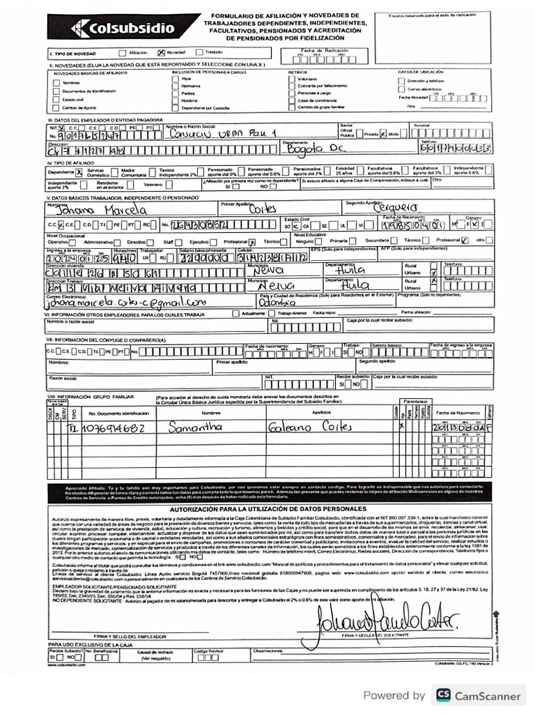 Formulario 2 Afiliacion | PDF