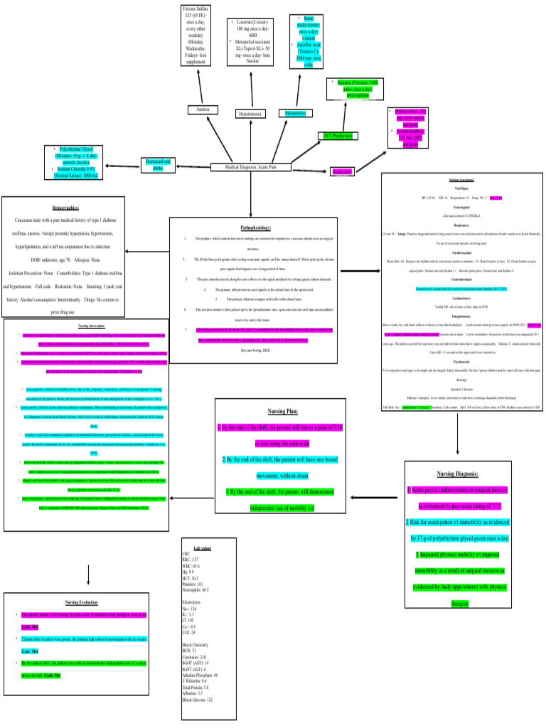 Concept map MedSurg Nursing | PDF | Pain | Diseases And Disorders