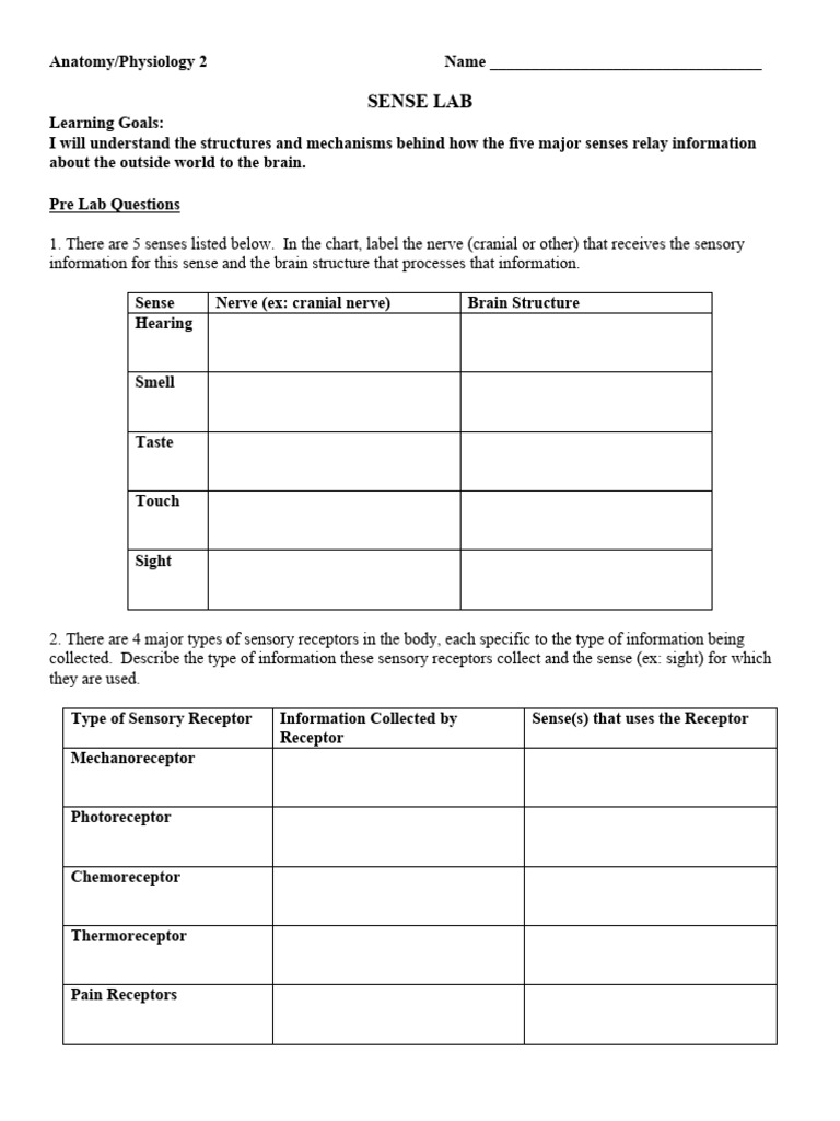 Sense Lab - Taste and Touch 2024 | PDF | Senses | Taste