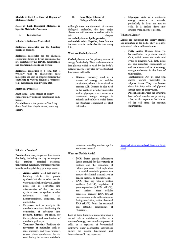GENBIO Module 3 Part 2 Central Dogma of Molecular Biology | PDF | Metabolism | Cell (Biology)