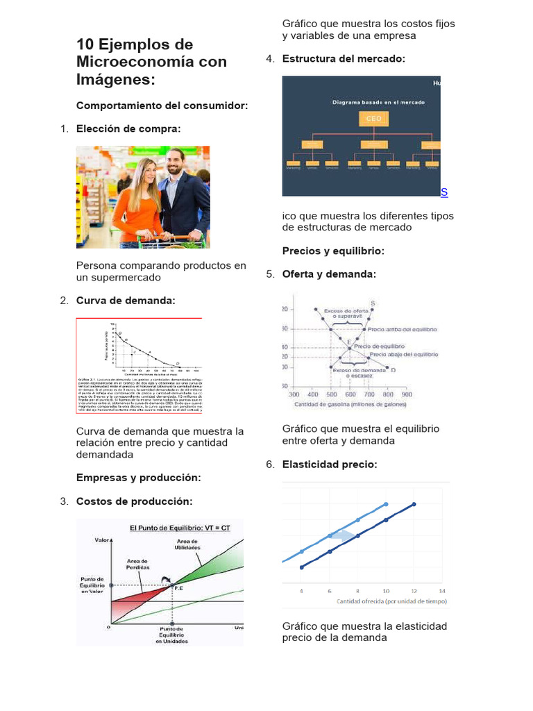 10 Ejemplos de Microeconomía Con Imágenes | PDF