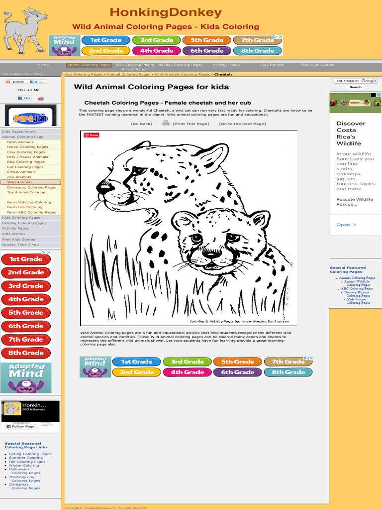 Wild Animal Coloring Pages Cheetah Coloring Page and Kids Activity ...
