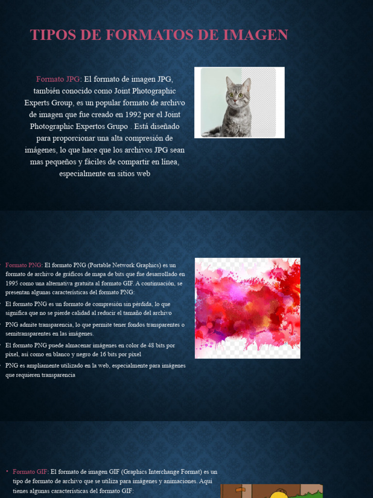 Tipos de Formatos de Imagen | PDF | Adobe Photoshop | Compresión de datos