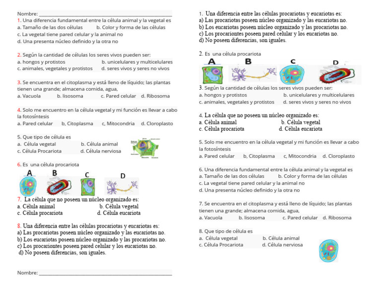 Evaluación Célula Animal y Vegetal | PDF | Plantas | Biología Celular)