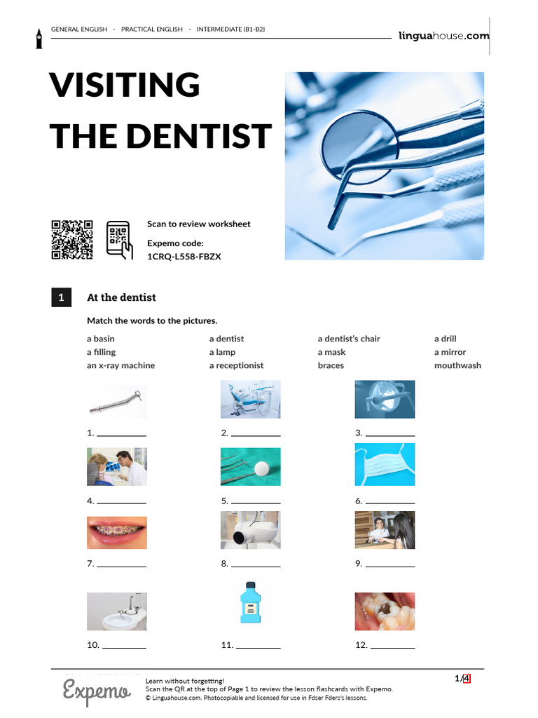 Visiting the Dentist: Key Vocabulary | PDF | Dentist | Mouth