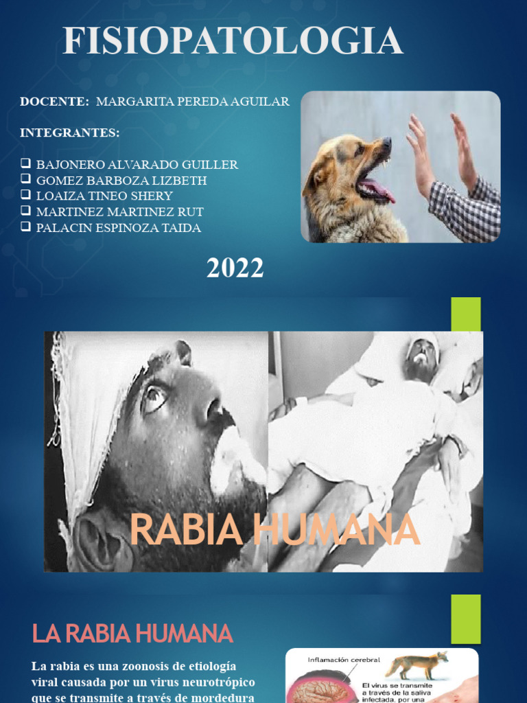 Rabia Humana | PDF | Rabia | Causas de la muerte