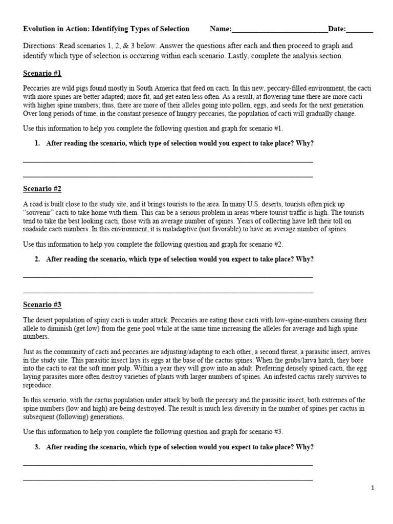 Evolution in Action Activity | PDF | Natural Selection | Insects