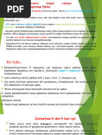 Barruu Seeraa Bakka Buinsa Kutaa Lammaffaa | PDF