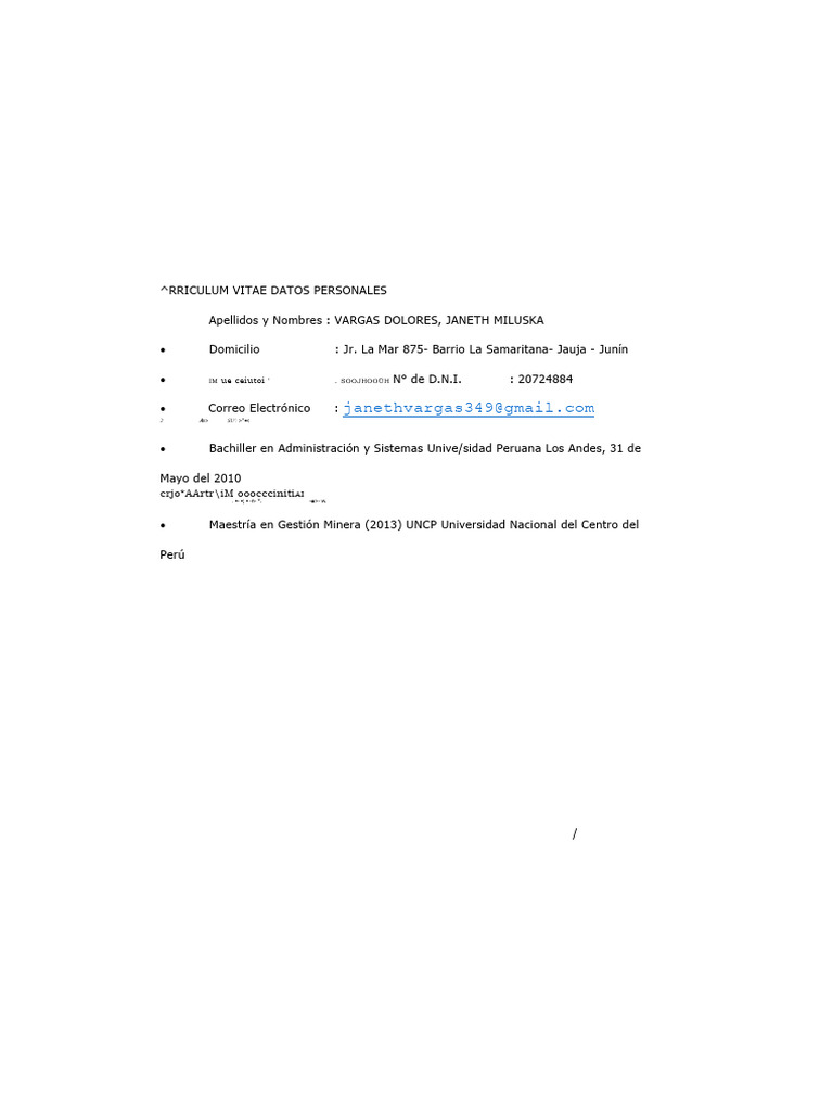 SKK CV | PDF | Business | Ingeniería