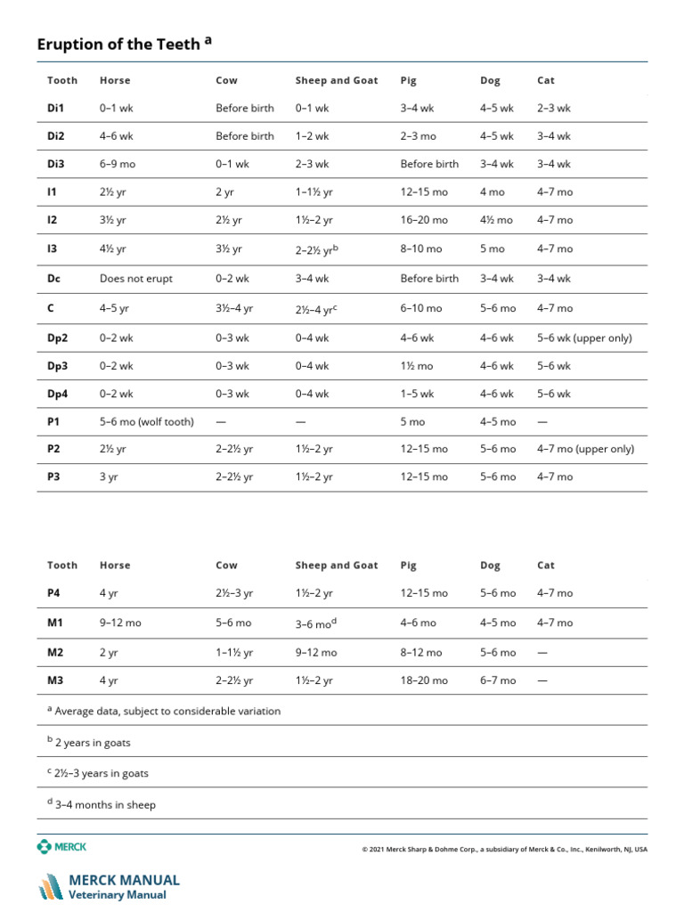 Eruption Timeline of Animal Teeth | PDF | Cooking, Food & Wine