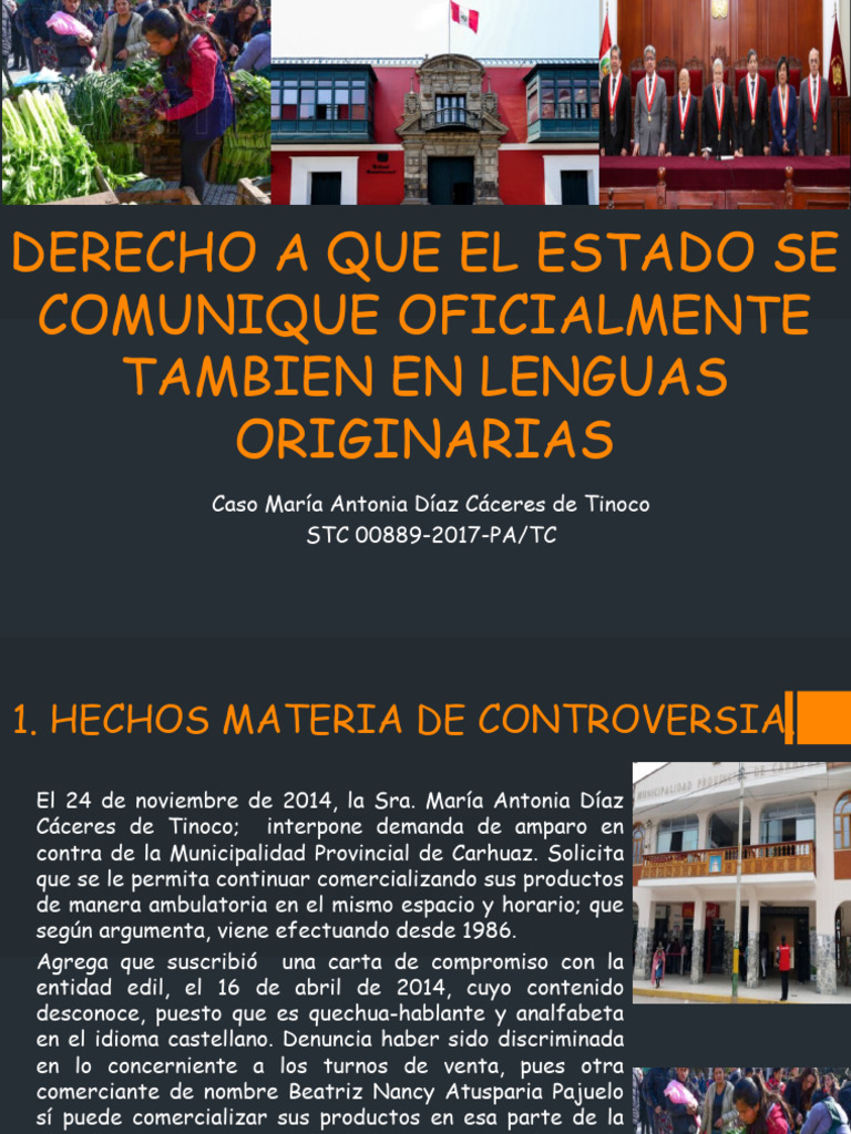 Derecho de La Recurrente A Ser Comunicada en Su Lengua Originaria - Caso Maria Antonia Diaz ...