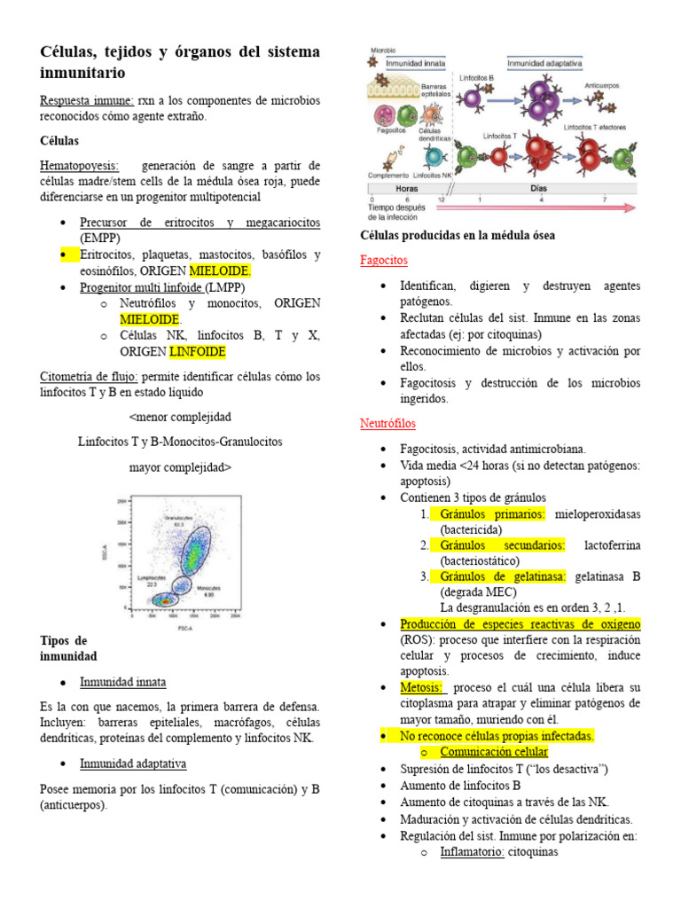 Células, Tejido y Órganos Del Sistema Inmunitario | PDF | Sistema inmune | Inmunología