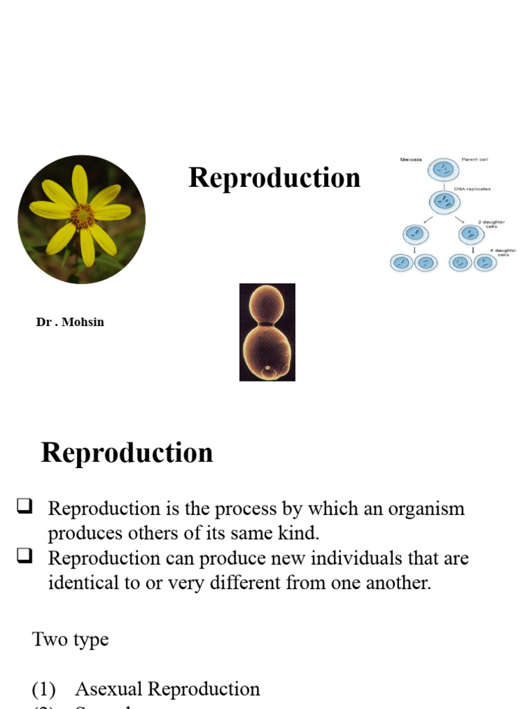 Methods of Reproduction | Download Free PDF | Reproduction | Sexual ...