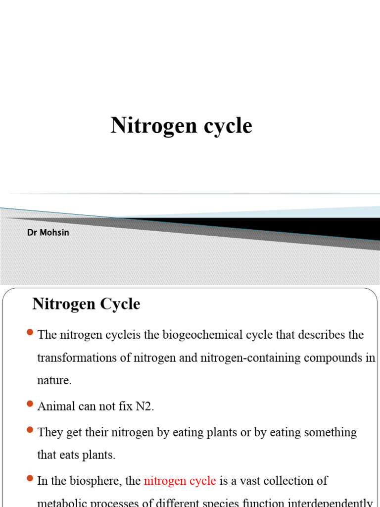 Nitrogen cycle | PDF | Nitrogen | Nitrite
