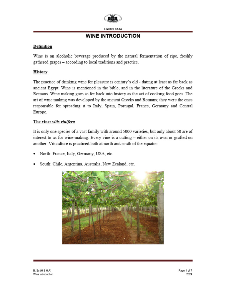 1564 Wine Introduction | PDF | Vitis | Wine