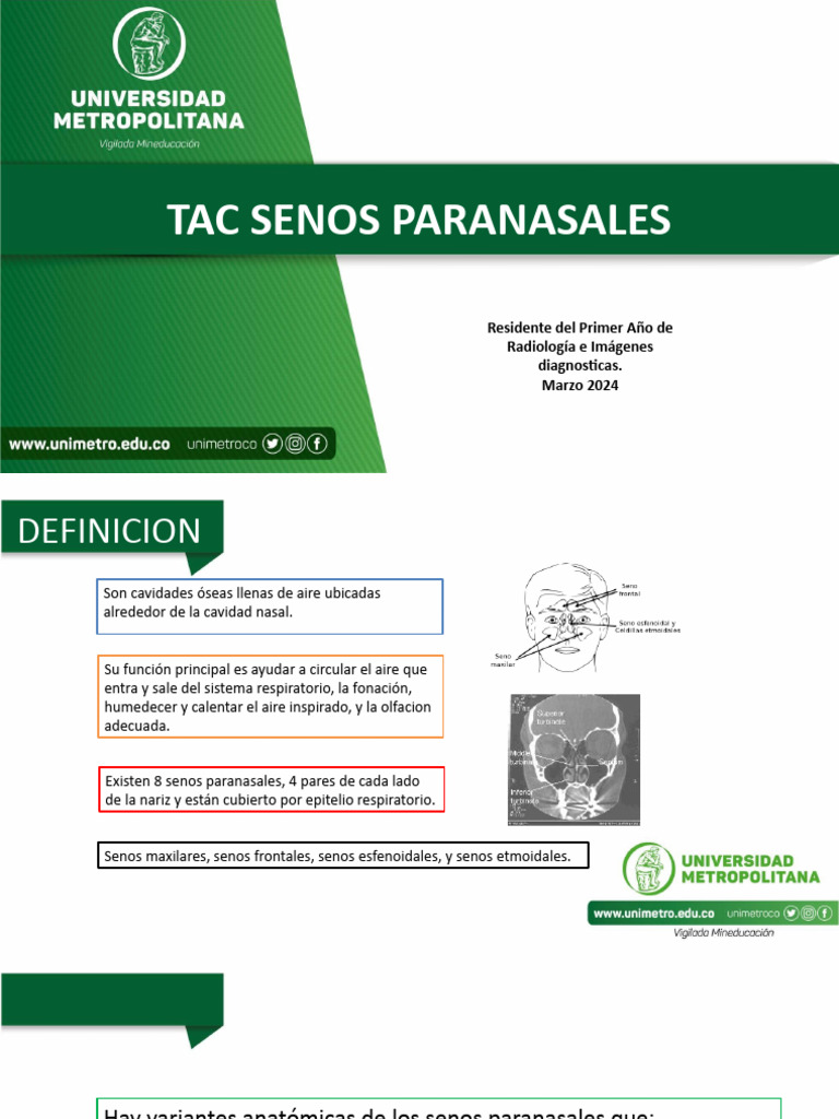 Senos Paranasales Tac | PDF | Rinología | Anatomía humana