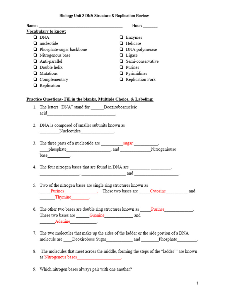 Bio Unit 2 DNA Structure & Replication Study Guide | PDF | Dna | Dna ...