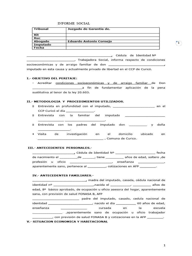 Formato de Informe Social | PDF