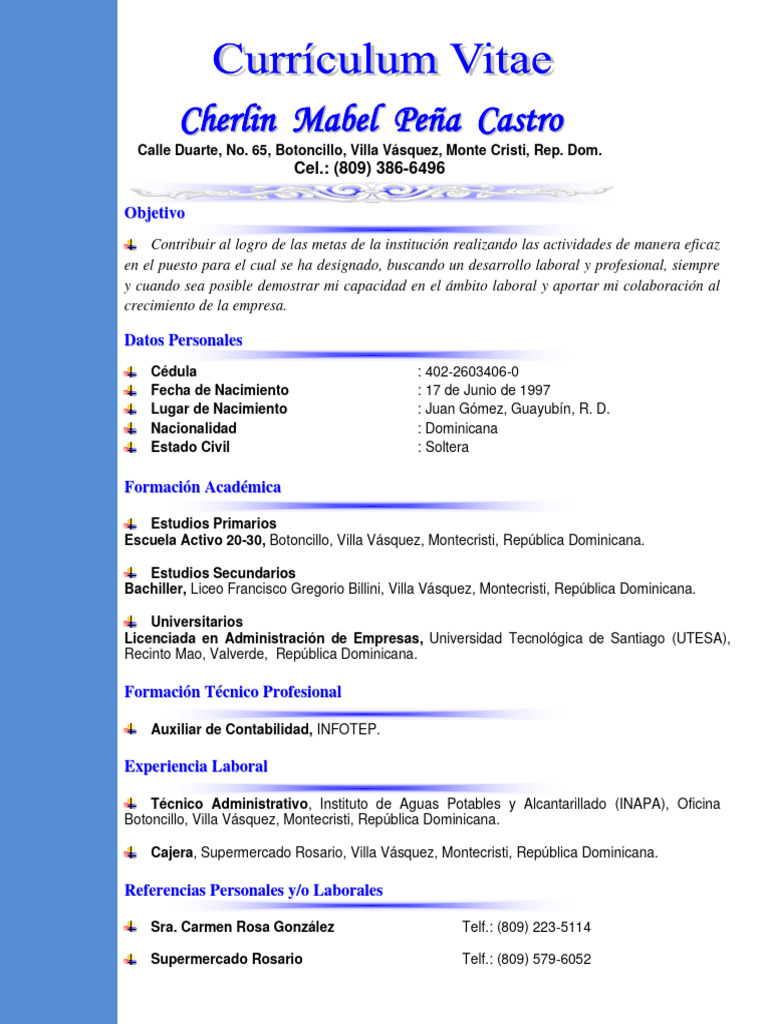 Cherlin Mabel Peña Castro - CURRICULUM | PDF