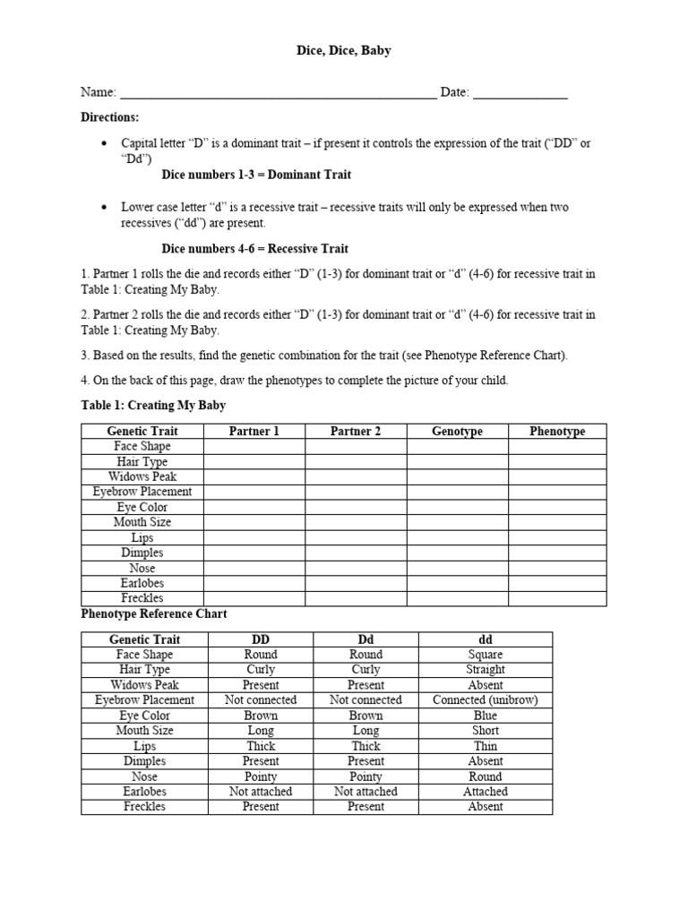 Dice, Dice, Baby Genetic Simulation | PDF