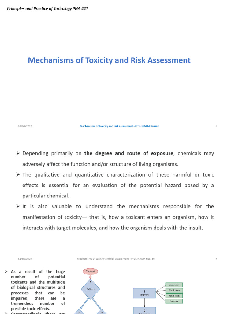 Toxicity Mechanisms and Risk Assessment | PDF | Dna Repair | Biology