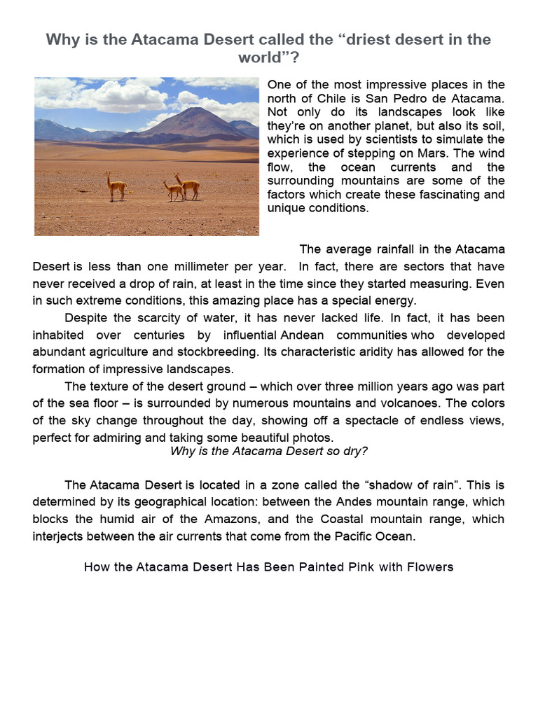 ATACAMA ENGLISH ACTIVITY | PDF | Desert | Rain