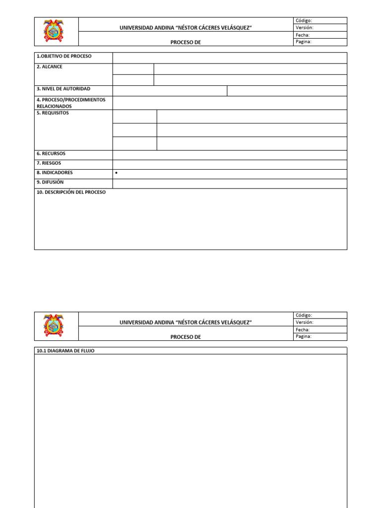 FORMATO DE PROCESOS EJEMPLO | PDF