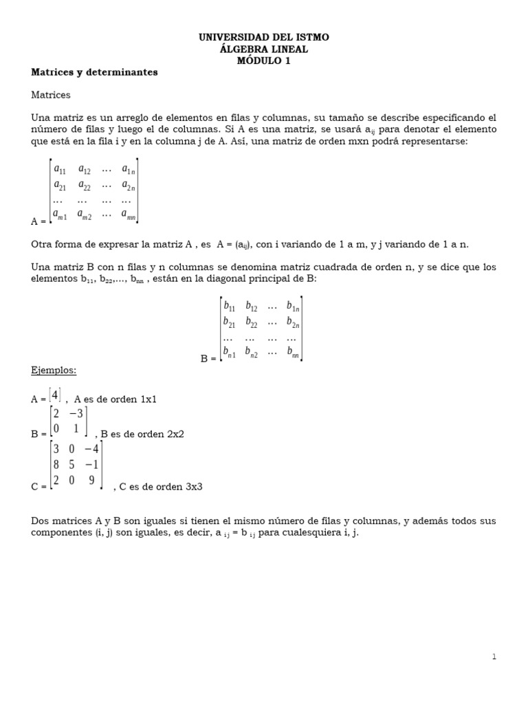 Matrices y Sistema de Ecuaciones Lineales Udi 2023 | PDF | Determinante | Espacio vectorial